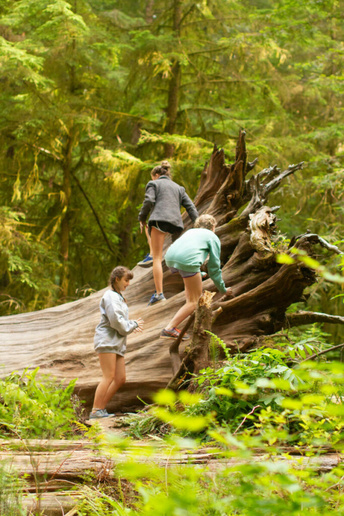 An Inside Look at the Life Changing Camp JH Ranch - Family Savvy